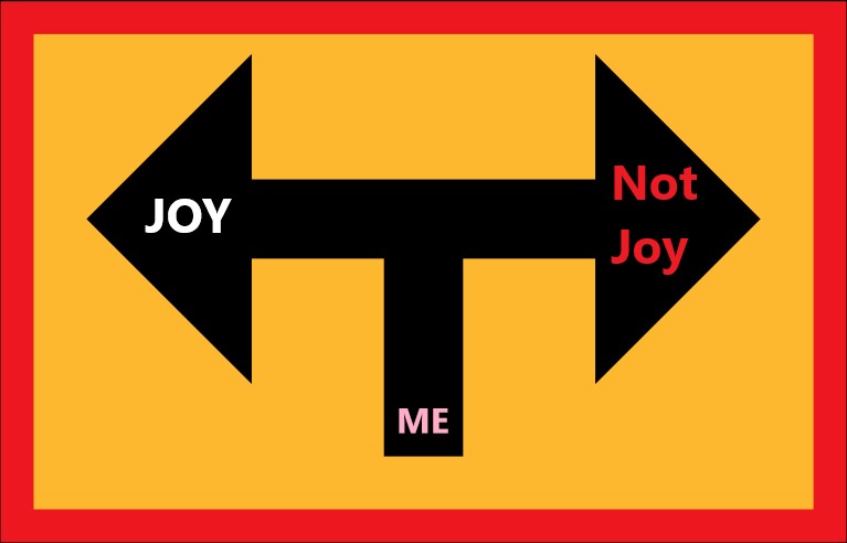 JOY STRATEGY [3]: The Two States of Mind We All Share - Mike Lukas